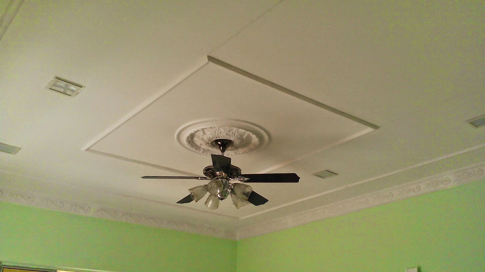 Siling fiber+siling kapor+ctwood