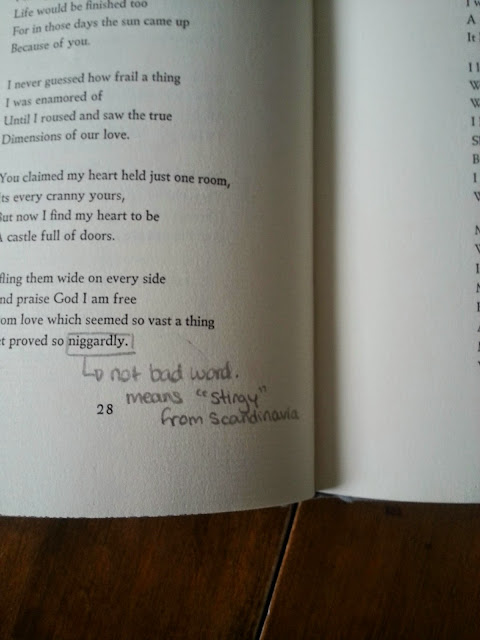 the cwtch: how to read poetry