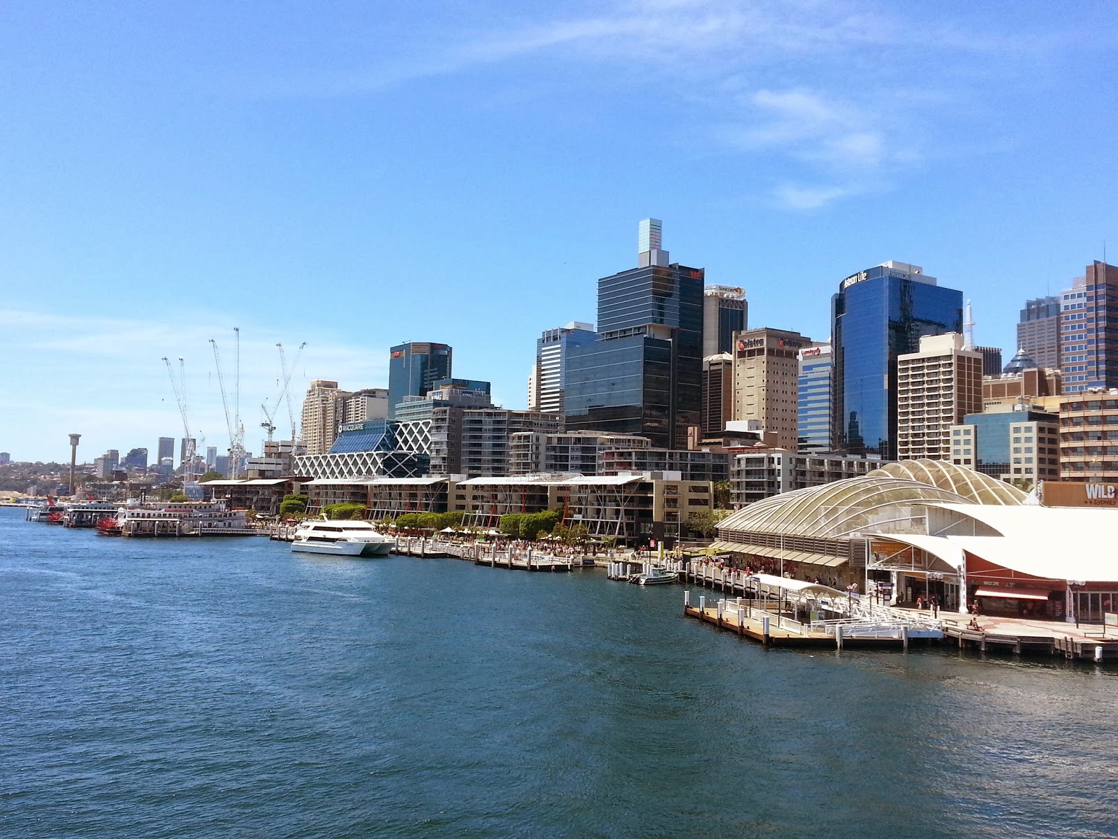 Trina's Great Adventures: Sydney, Sydney, Sydney