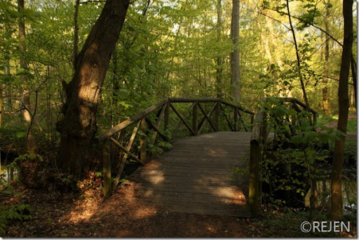 Grøn hverdag | REJENS BLOG