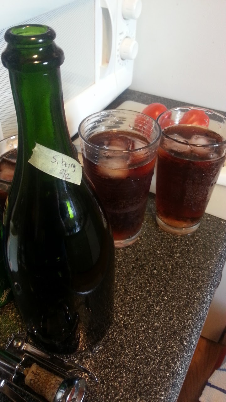 International Blue: Elephant Chickens and Baby Gnats