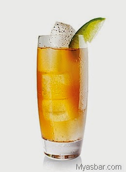 Bull Shot Cocktail recipe