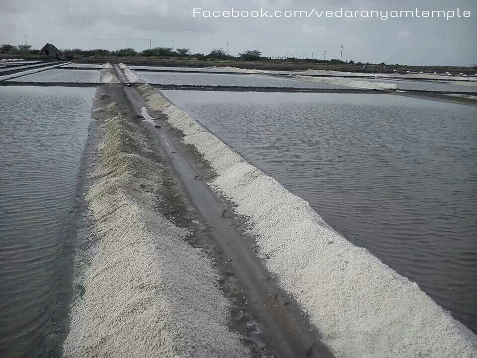 vedaranyam temple: Salt factory vedaranyam