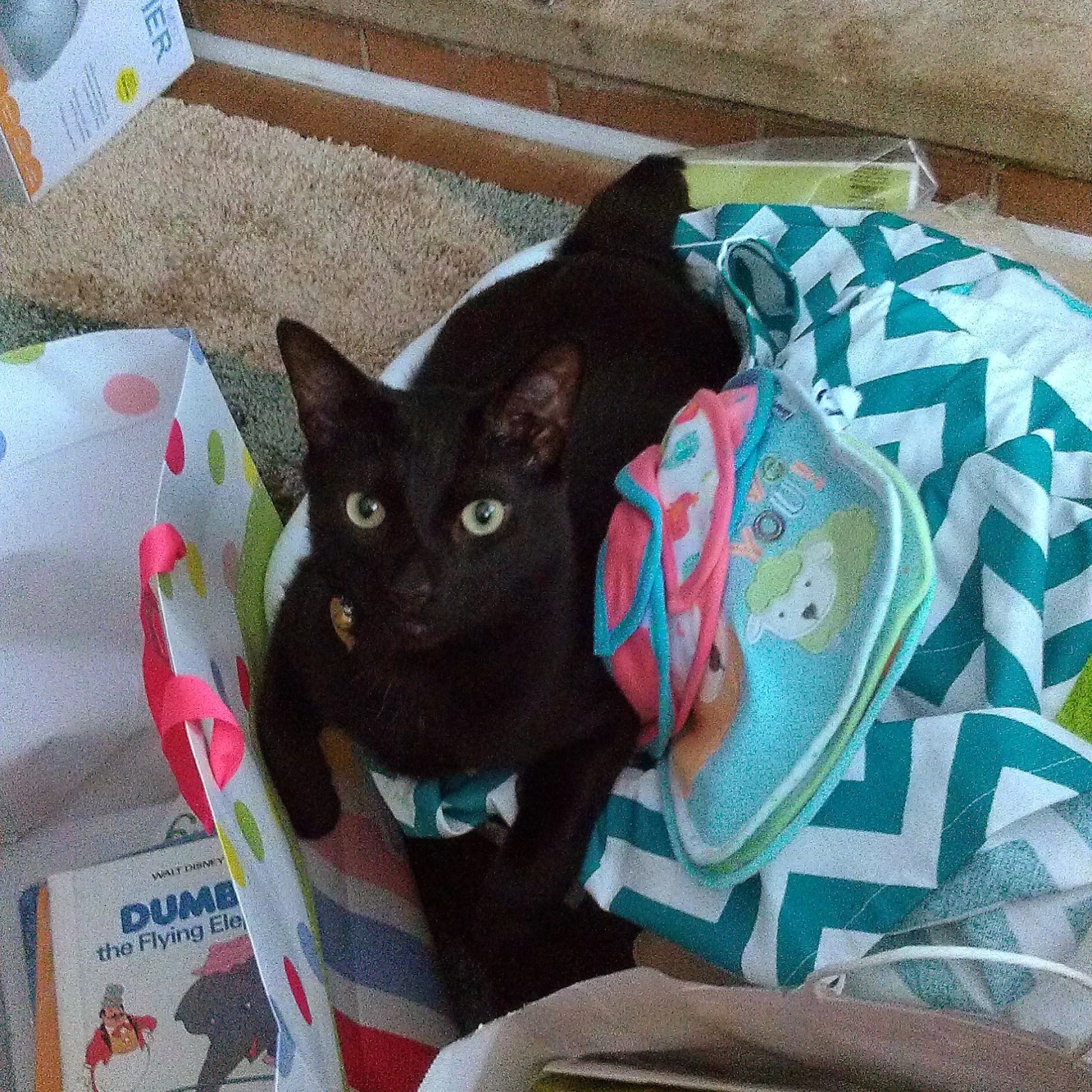 Babies Cubed (Pregnant with Triplets): 27 weeks... home!