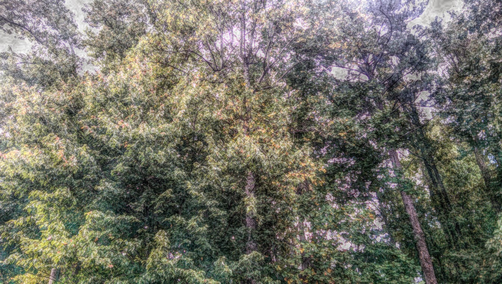 23 commercial use downloadable free random pictures for blogs and websites