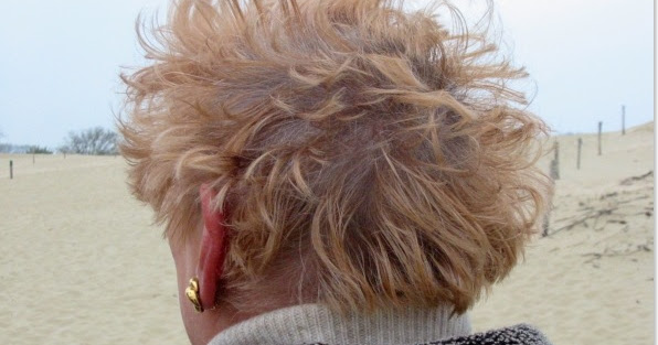 5 Reasons You Should Check Out Your Hair Stylist's Reputation | Beauty ...