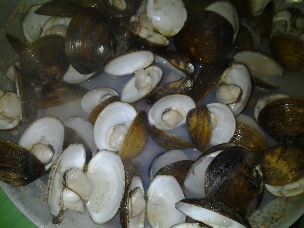 Bonde Zaidalifah: SAMBAL LOKAN BONDE