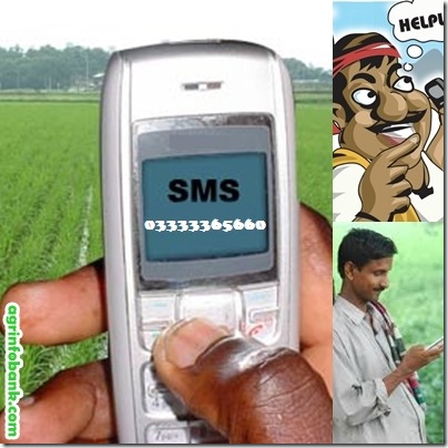 Agriculture through SMS | Farming: Feed the hungry world
