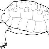 Tortuguitas para colorear - Imagui