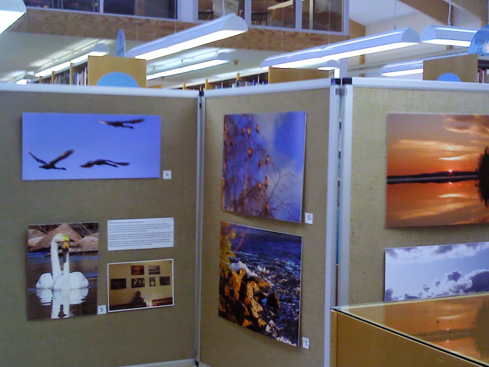 Valokuva näyttely : Luonto kuva näyttely