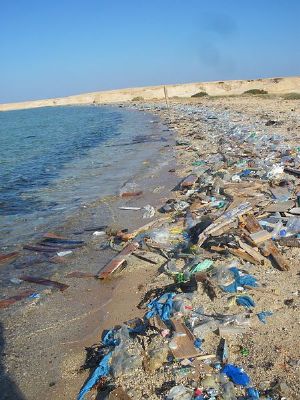 Algérie : Les plages, les nouvelles poubelles algériennes - Algerie360