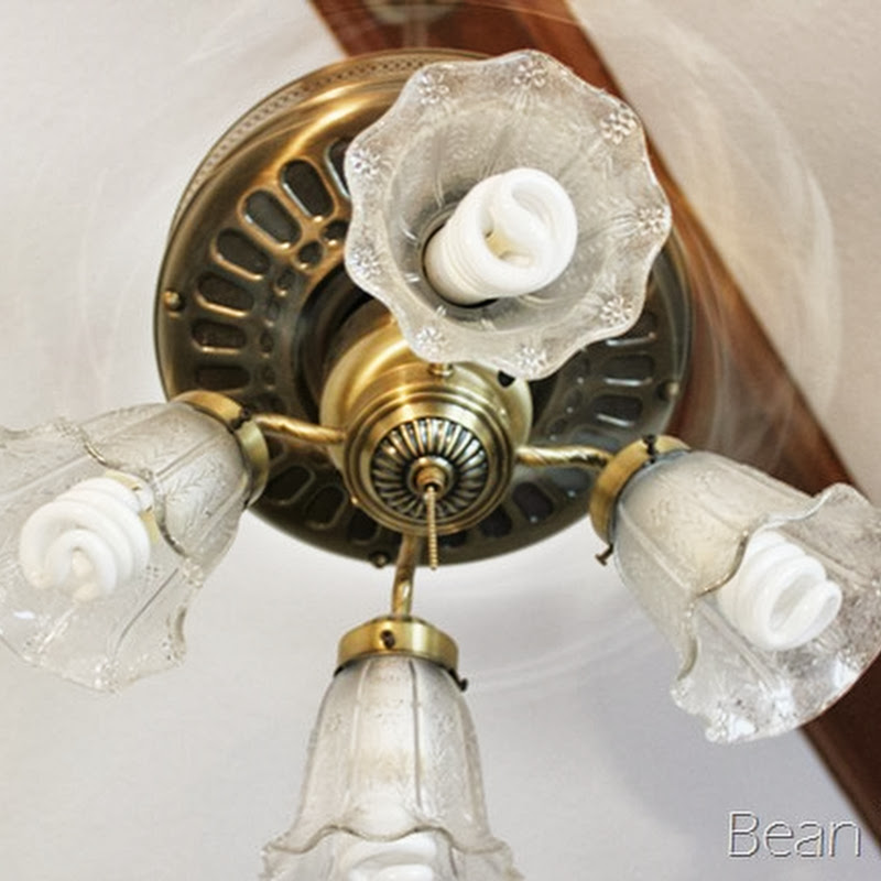 Smc Ceiling Fan Light Kit | Shelly Lighting