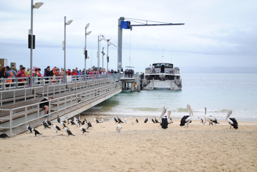 Kelv's Travelling Experiences: [Sharing] RTW - Brisbane a layback city