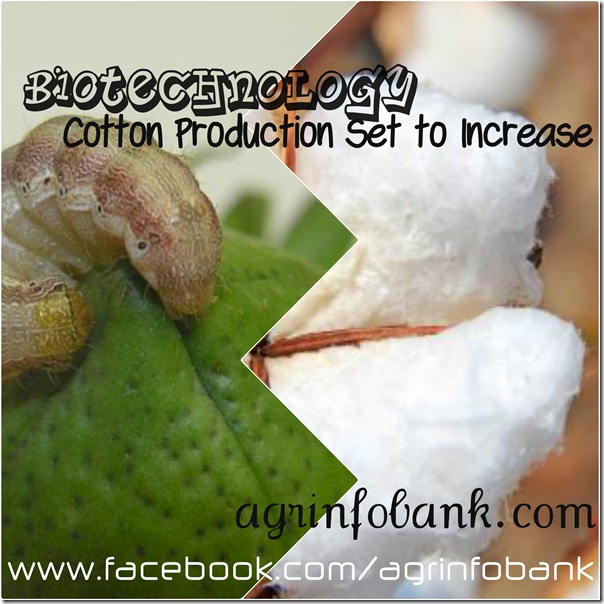 April 2013 | Agriculture Information Bank