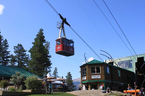 Jasper Tramway – Rebellious Yam