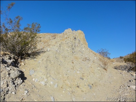 Pushawalla Palms Loop | Jesse's Hikes