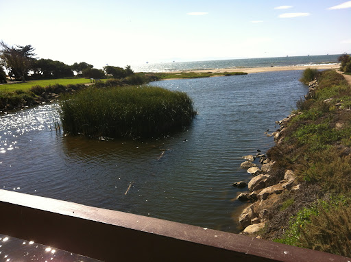 Campground info and reviews: Carpinteria State Beach