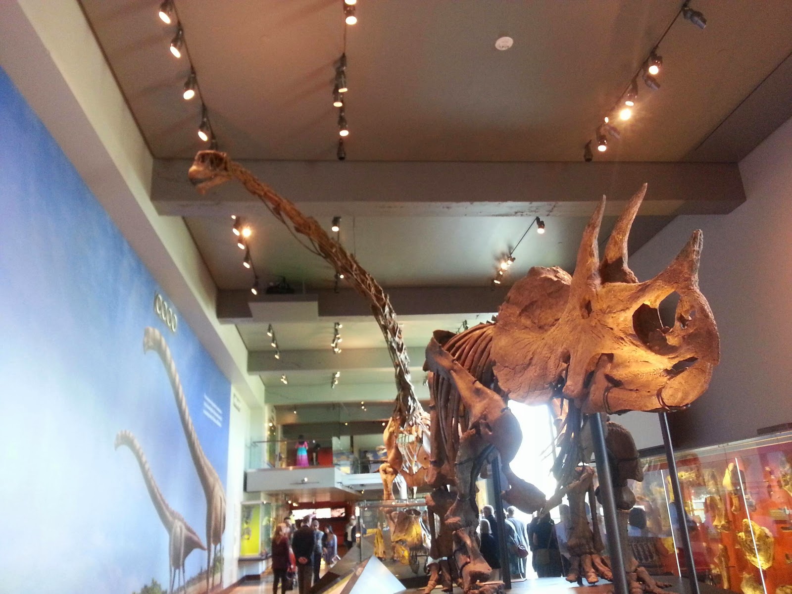 Bryan's Biology Class: Natural History Museum Extra Credit