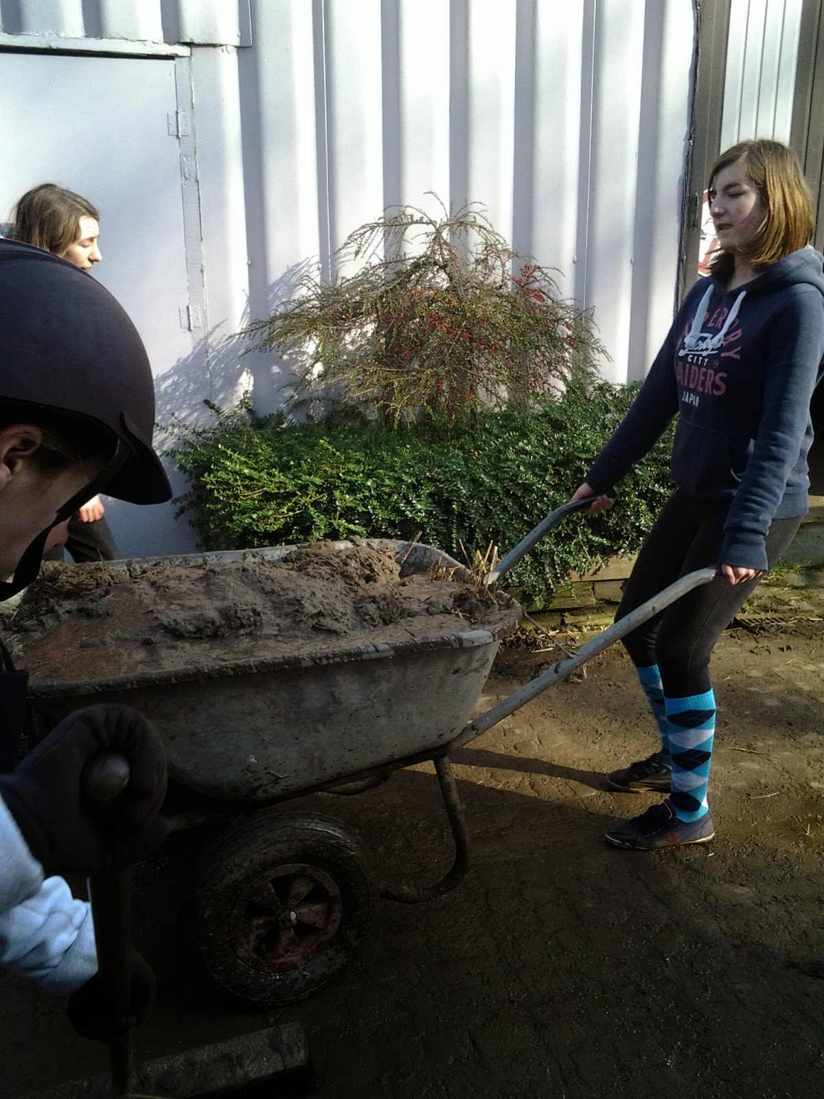 paardrijkamp krokus - Manege Beggard