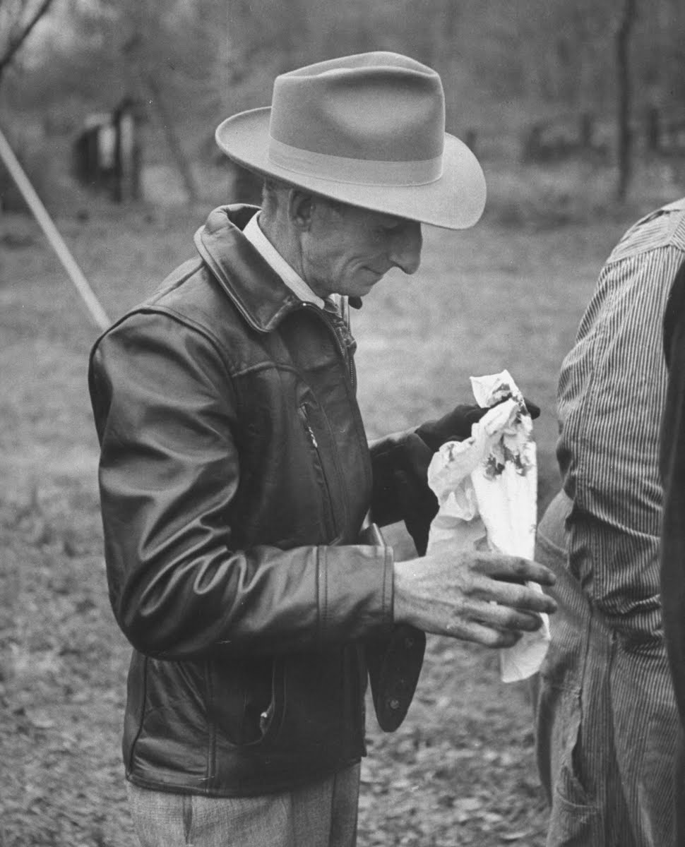 Peter Stackpole — Google Arts & Culture