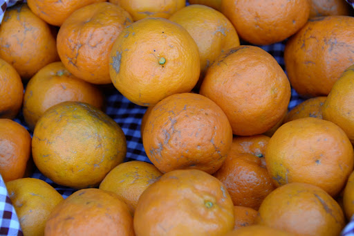 Khasi mandarin - Slow Food Foundation for Biodiversity - Ark of Taste ...