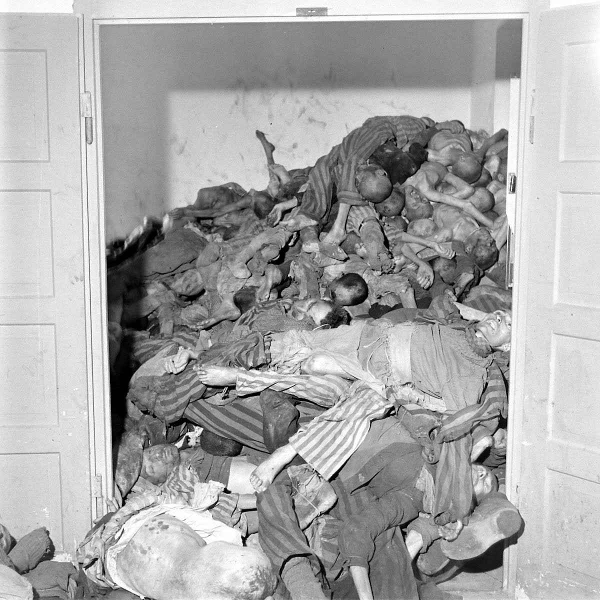 Dachau Prison Camp - David E Scherman — Google Arts & Culture