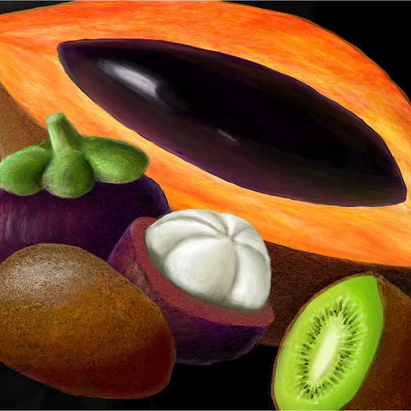 Exotic Fruit » drawings » SketchPort