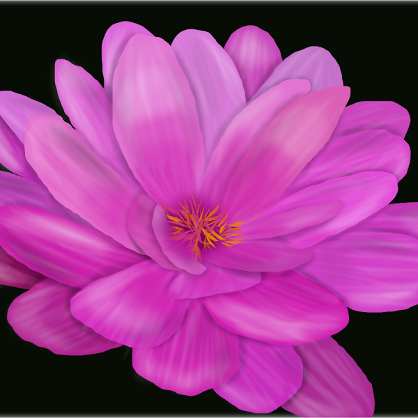 Peace Flower » drawings » SketchPort