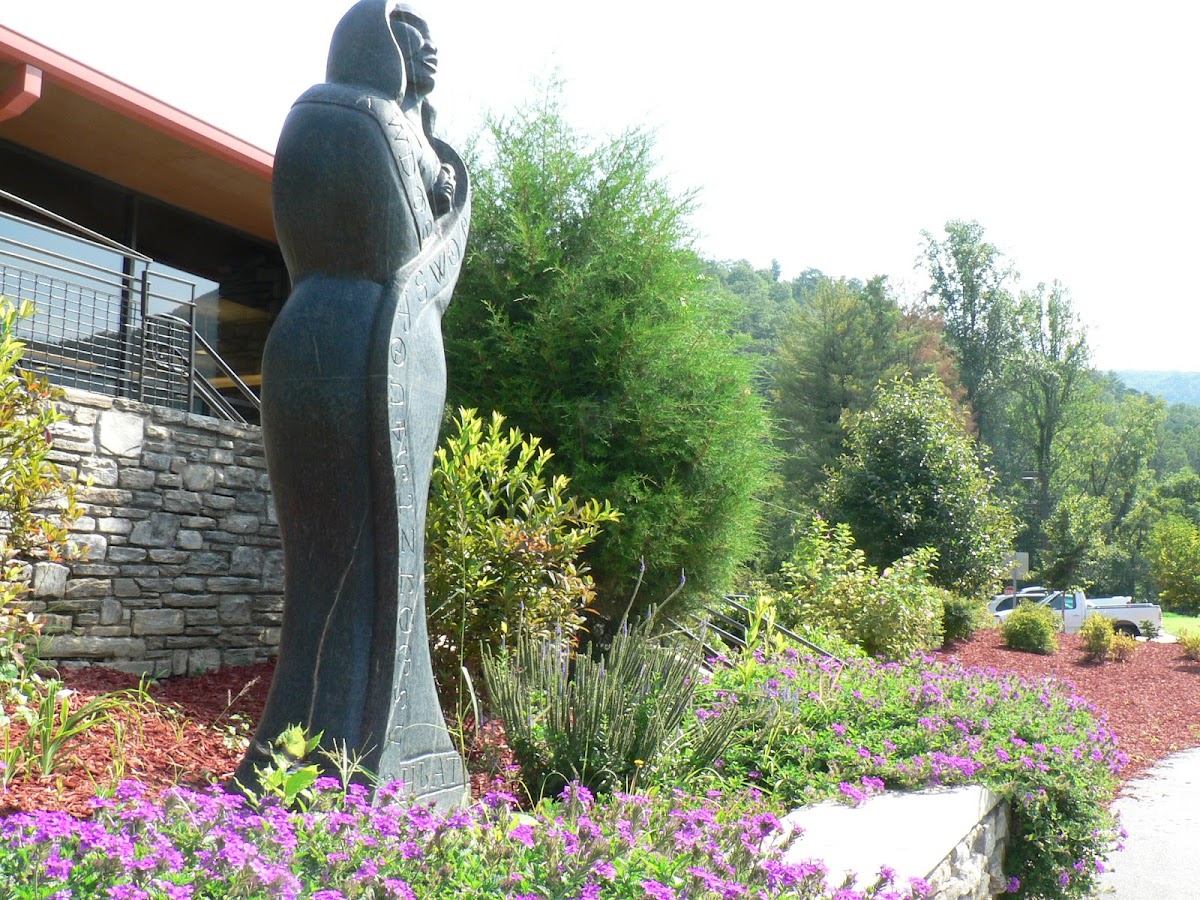 Red Cedar, Juniper | Project Noah