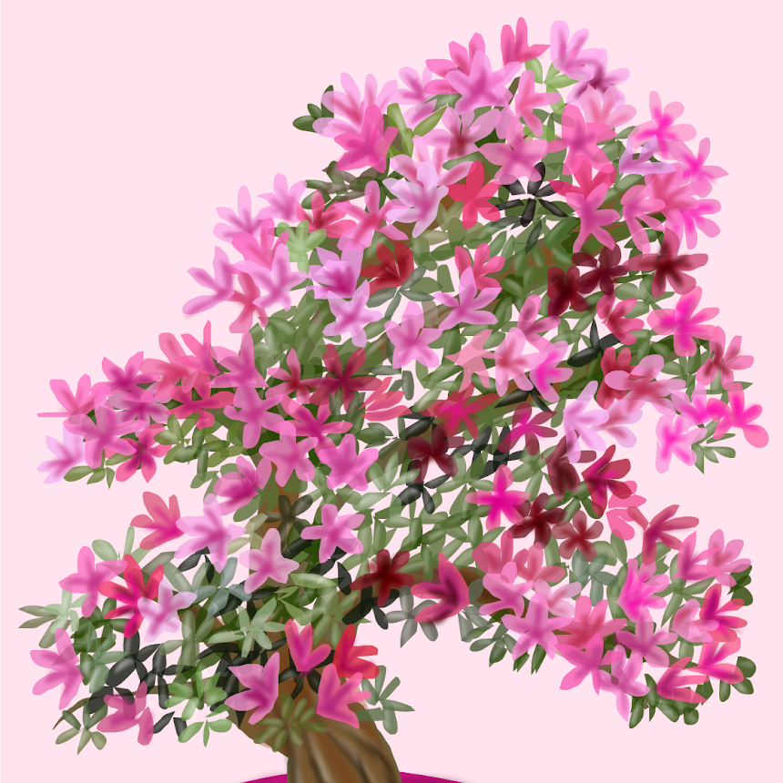 Pink! » drawings » SketchPort