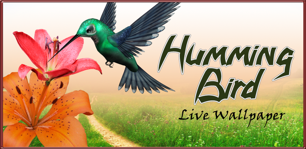 Humming Bird by App Basic - Latest version for Android - Download APK