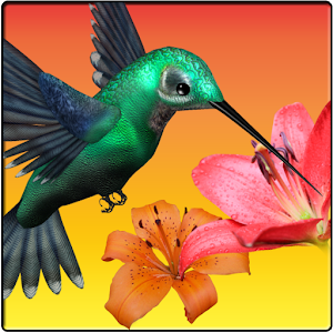 Humming Bird by App Basic - Latest version for Android - Download APK