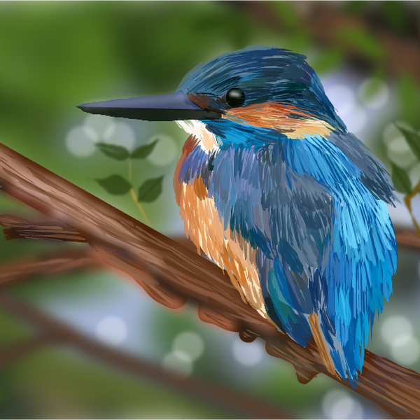 "A Nice Kingfisher" » drawings » SketchPort