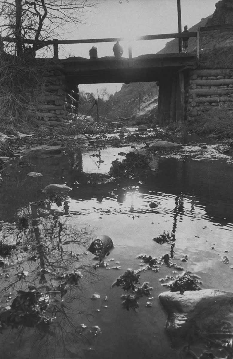 Coors Kidnapping - Grey Villet — Google Arts & Culture