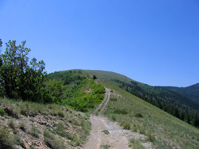 Trip Report TR: Ford Creek and Ford Ridge, Carbon County