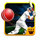 Ultimate Turbo Cricket - Free APK Download for Android