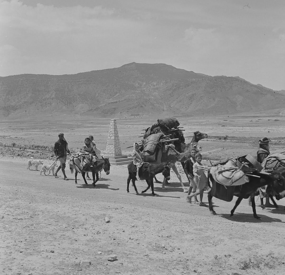 Battle of Kasserine Pass — Google Arts & Culture