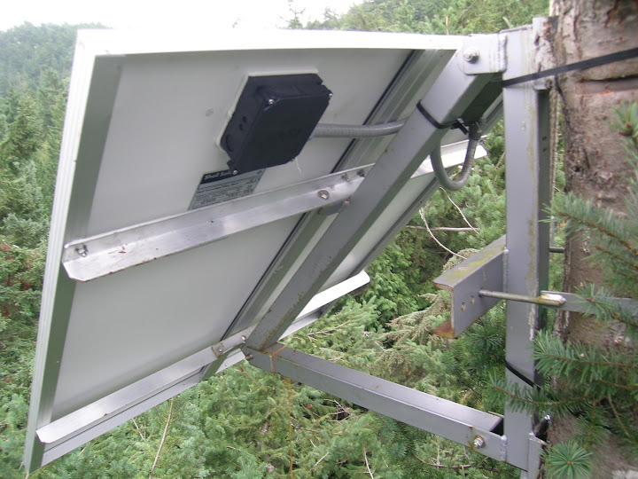 How to mount solar panels in treetops? | Arborist, Chainsaw & Tree Work ...