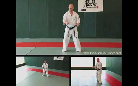 Kyokushin – Stances & Moves – iBudokan’s «Kyokushin – Stances and Moves ...
