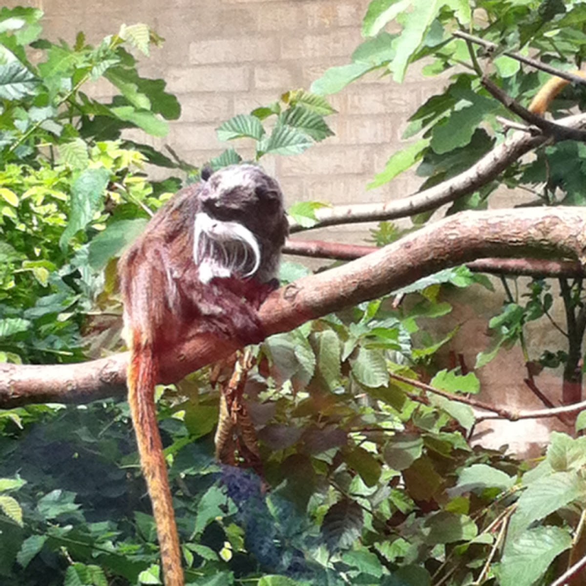 Spotting | Project Noah