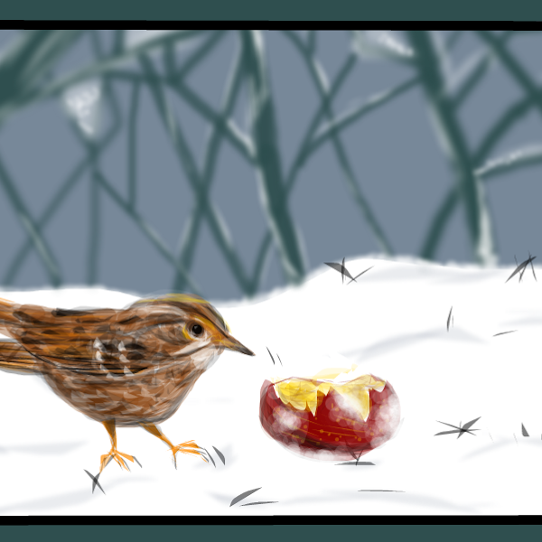 Snow Bird » drawings » SketchPort