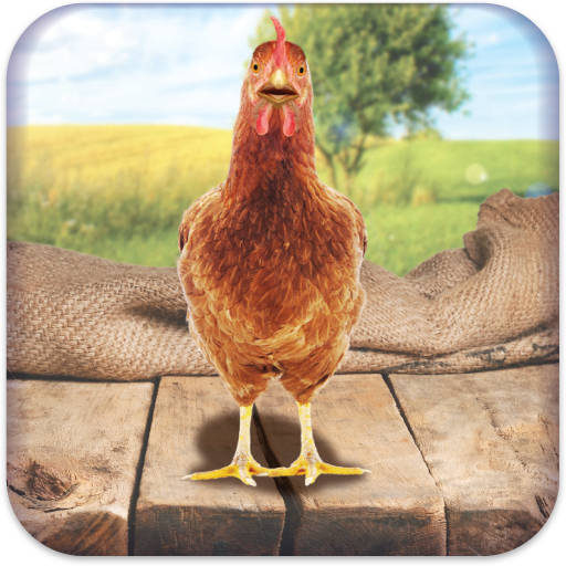 About: Real Talking Chicken (Google Play version) | | Apptopia