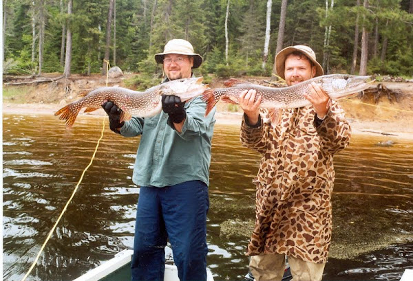 Northern Pike (Jack fish) | Project Noah