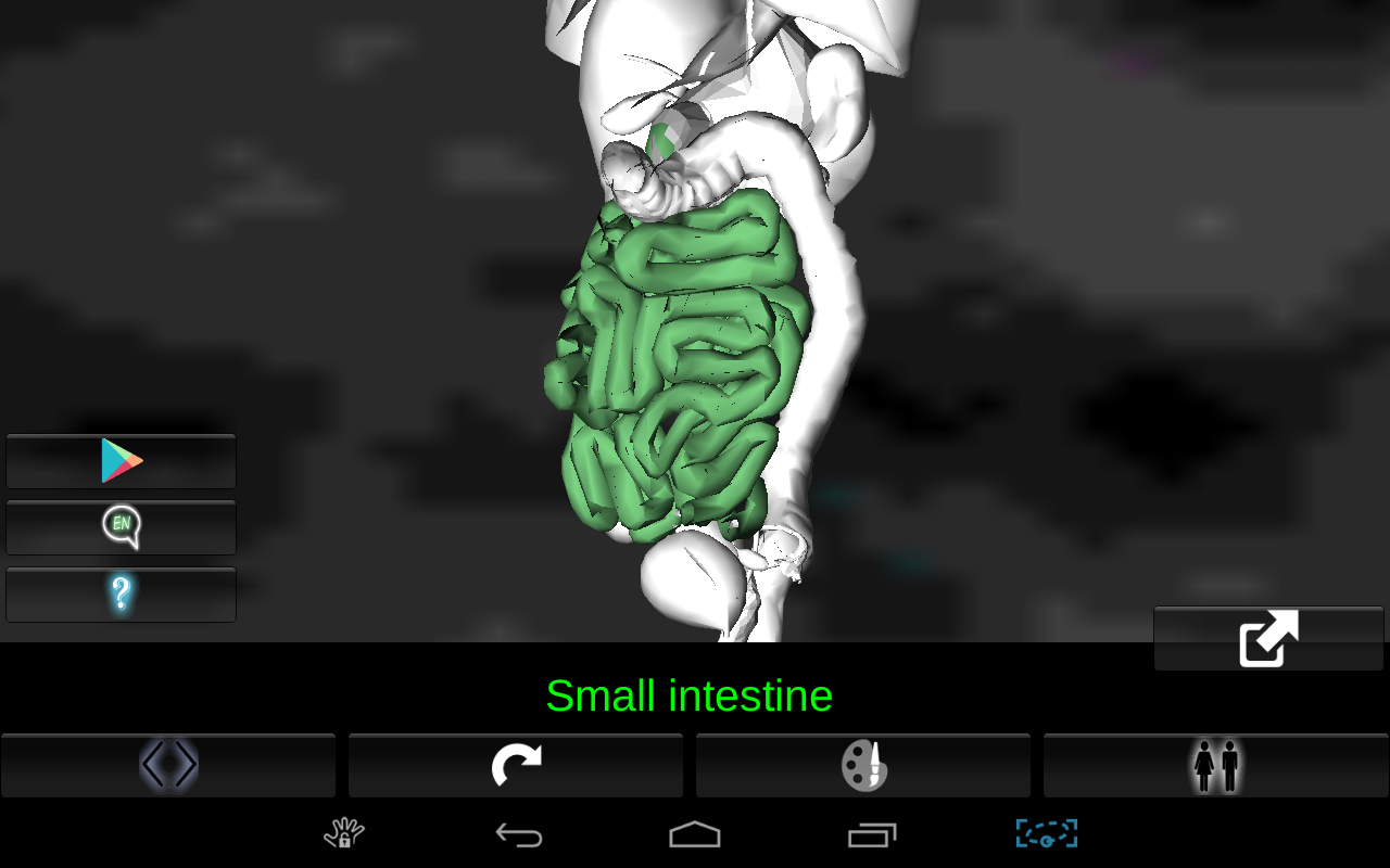 Organs 3D (Anatomy) - Android Apps on Google Play