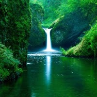 「Nature Wallpapers」 - Androidアプリ | APPLION