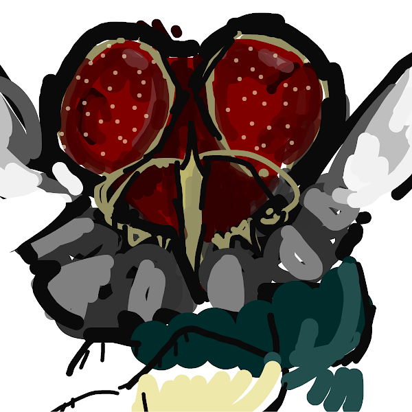 King fly » drawings » SketchPort