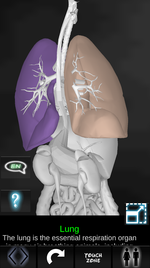 Organs 3D (Anatomy) - Android Apps on Google Play