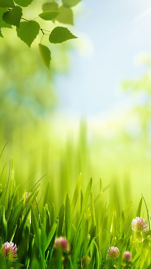 Pomlad Slika za Ozadje – Aplikacije za Android v storitvi Google Play