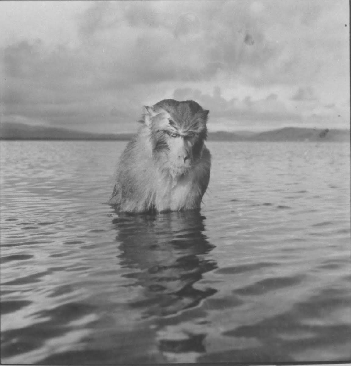 The Photography of Hansel Mieth — Google Arts & Culture