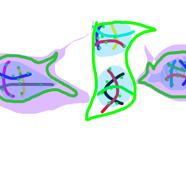 flawed logic » drawings » SketchPort